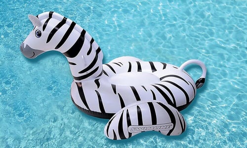 The iGoMoon crew are doing WHAT this summer?